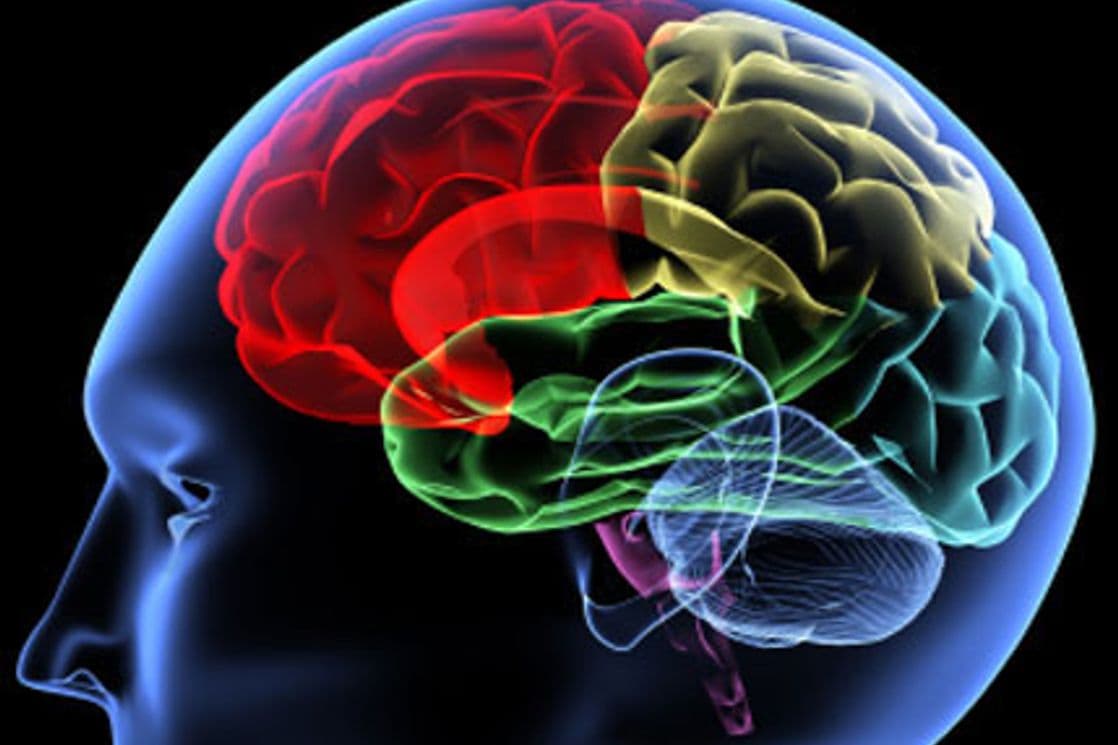 VIDEO: Misterije koje skriva ljudski mozak