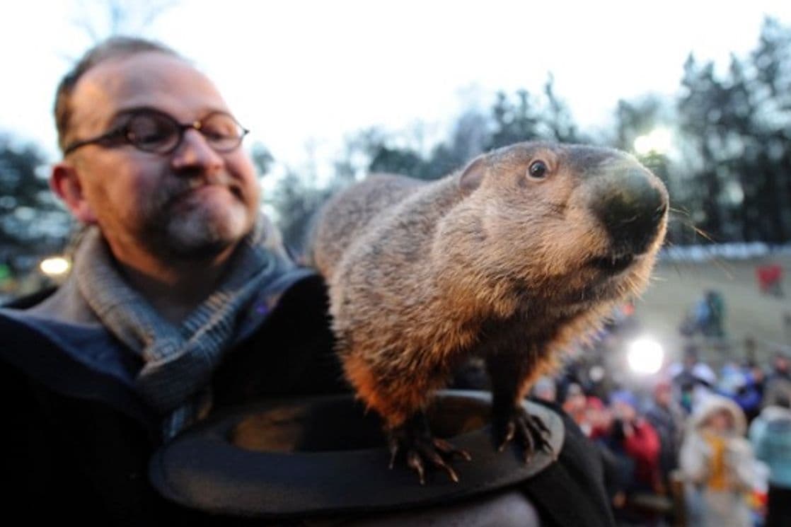 Danas je Dan mrmota!