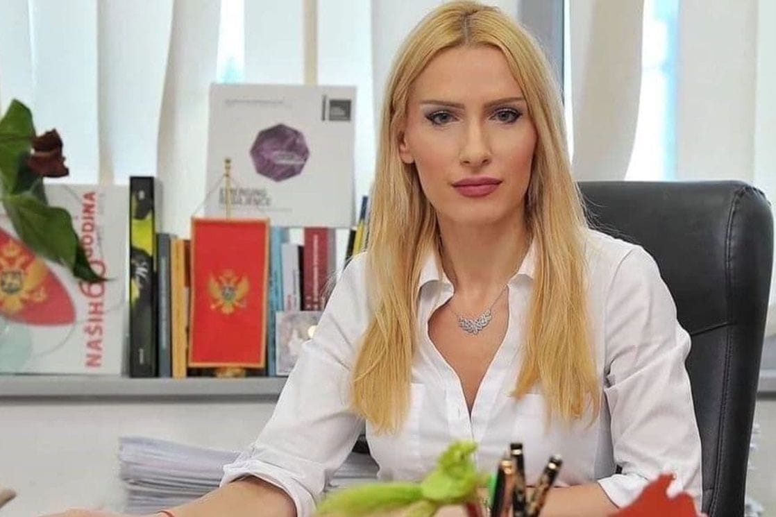 Vojinović: Crna Gora ušla u crvenu zonu da ispuni rokove i završna ...