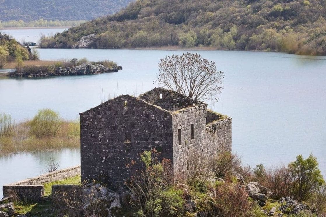 Stablo jasena razara zidove Vladičine kule