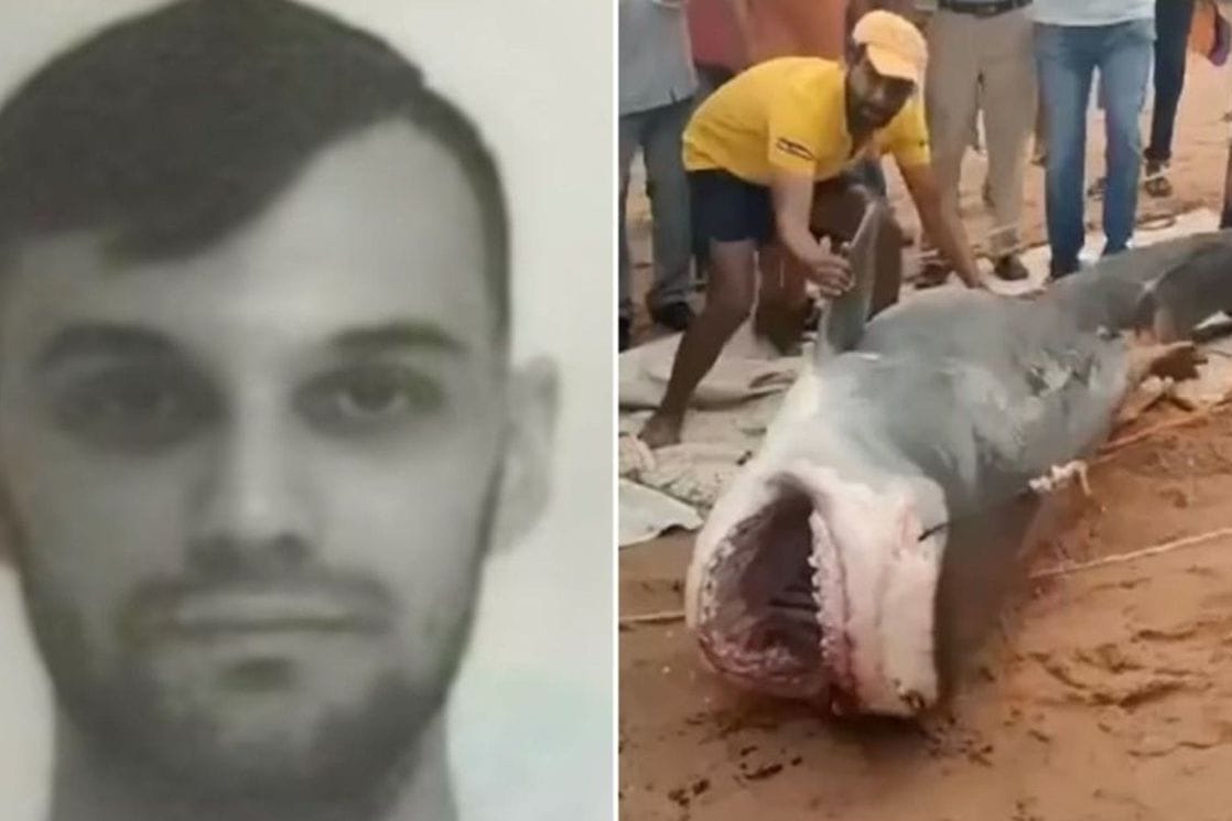 Otac mladog Rusa kojeg je usmrtila ajkula: Sve se dogodilo u nekoliko sekundi, nije tu moglo ...