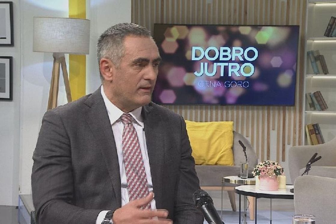 Damjanović: Osim političkog, nema drugog razloga za odlaganje popisa Damjanović: Osim političkog, nema drugog razloga za odlaganje popisa
