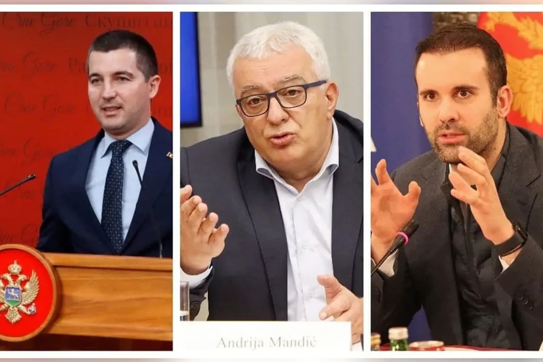 ZBCG i Demokrate saglasni sa odgađanjem, fali popisivača