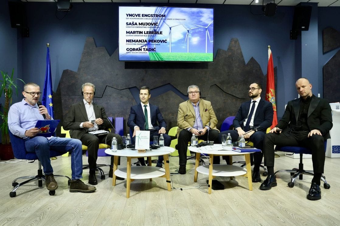 Budućnost energetske tranzicije u Crnoj Gori: Pitanja električne ...