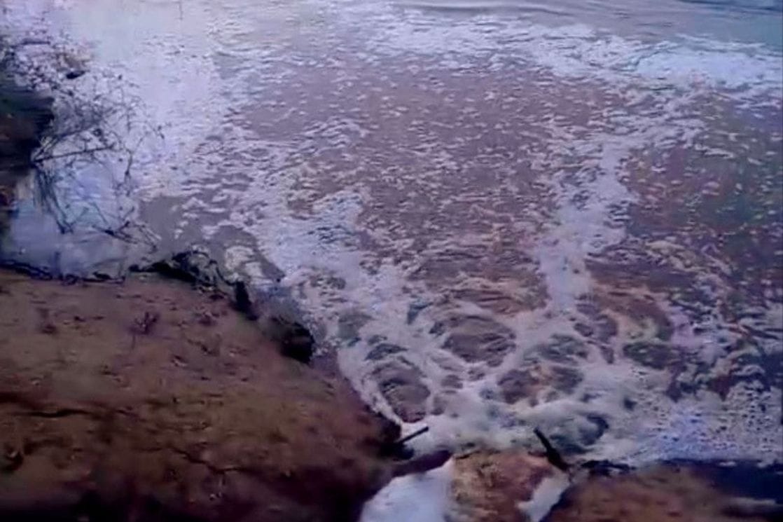 Iković uputio urgenciju inspekciji: Zaustavite ispuštanje krvi iz ...