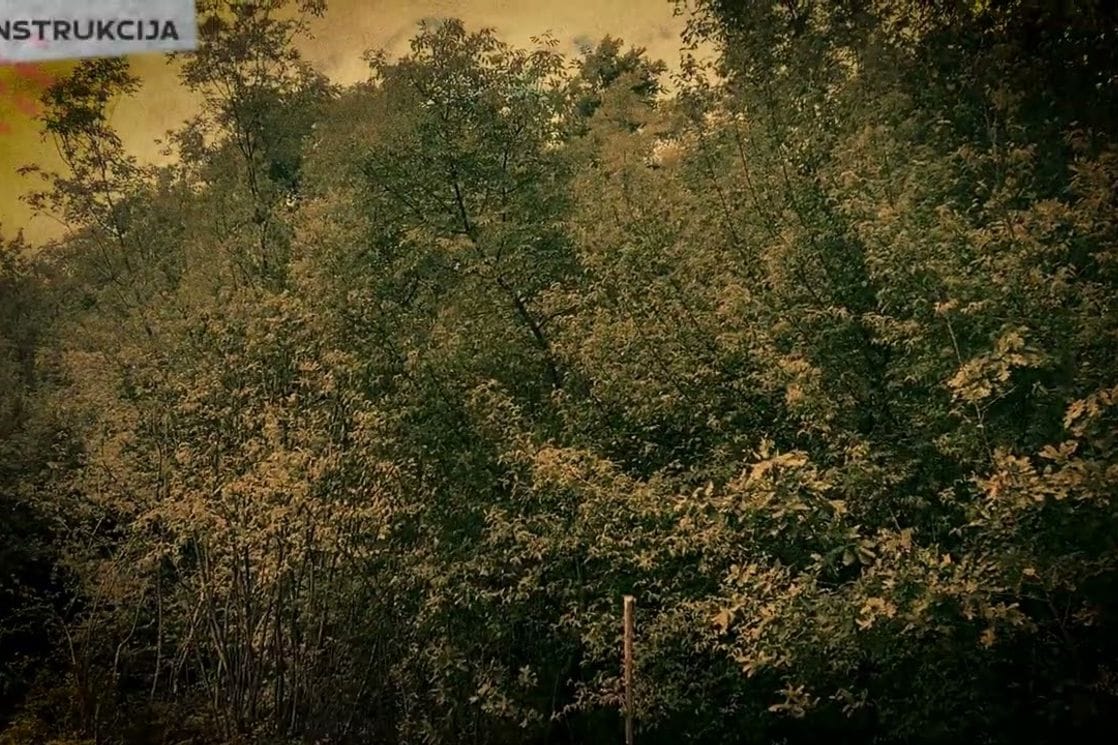 Sjenke večeras na TV E: Koja je bila uloga Kašćelana u ubistvu Stanišića