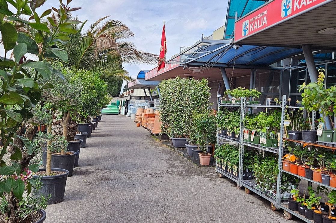 Dvije decenije posvećenosti znanju i kvalitetu: Kalia - porodični brend koji je promijenio lice ...