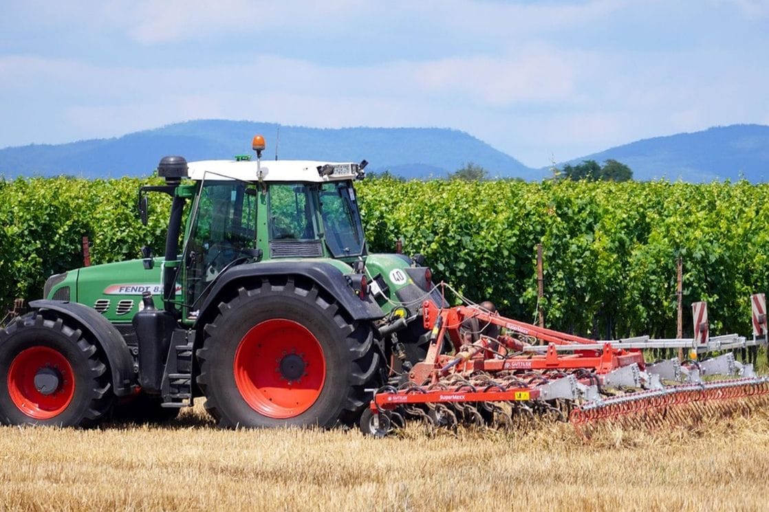 Gazdinstva vode i doktori nauka: Evo gdje je u Crnoj Gori najviše ...